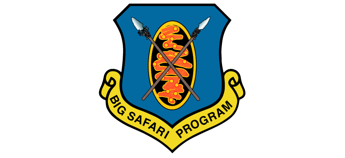 Big Safari Program - OCP- The Safari Program - Wright-Patterson AFB